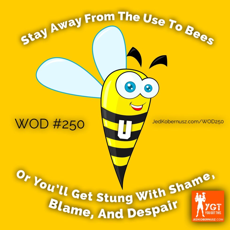 Stay Away From The Use To Bees | Jed Kobernusz